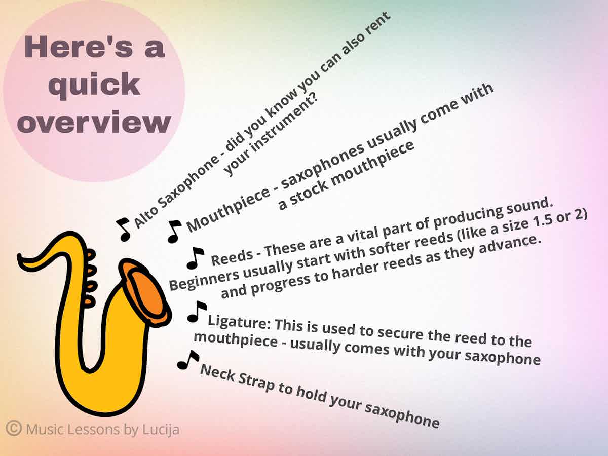 What do I need before my first Saxophone lesson? – Music Lessons by Lucija
